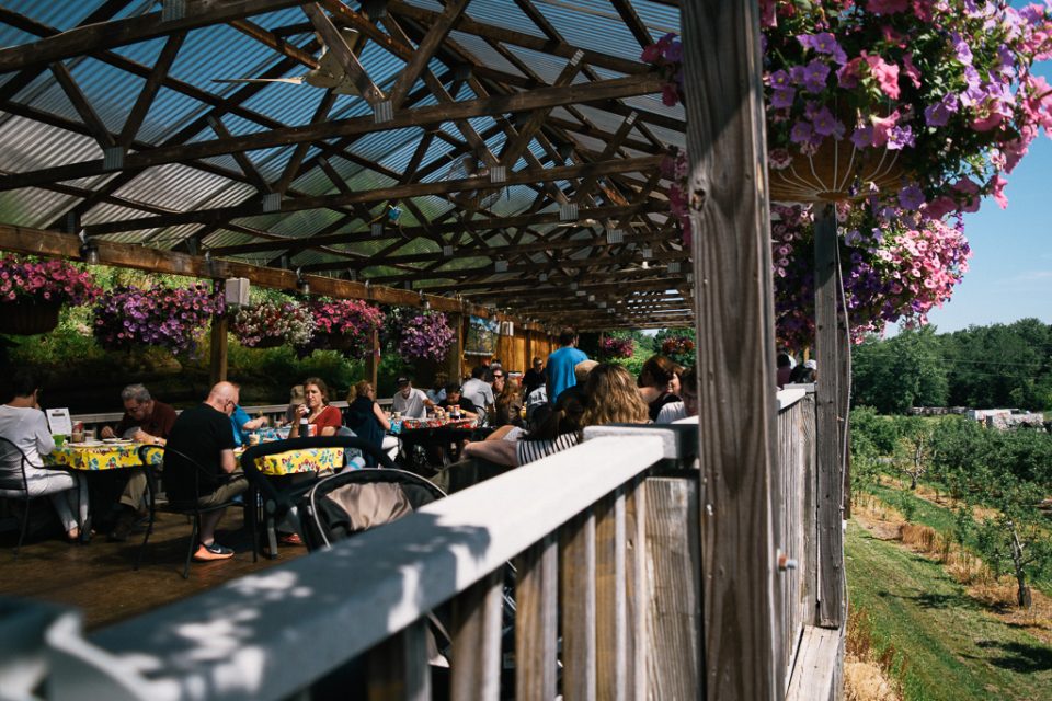 Rose's Berry Farm - on a voyage